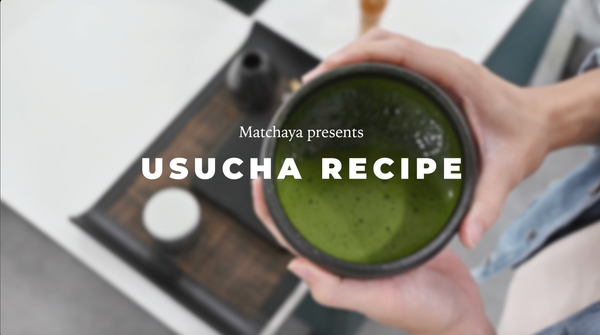 Usucha (Thin) Recipe | Ceremonial Grade Matcha | Matchaya