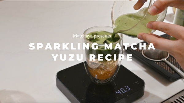 Sparkling Matcha Yuzu | Uji Matcha 8 and Yuzu | Matchaya